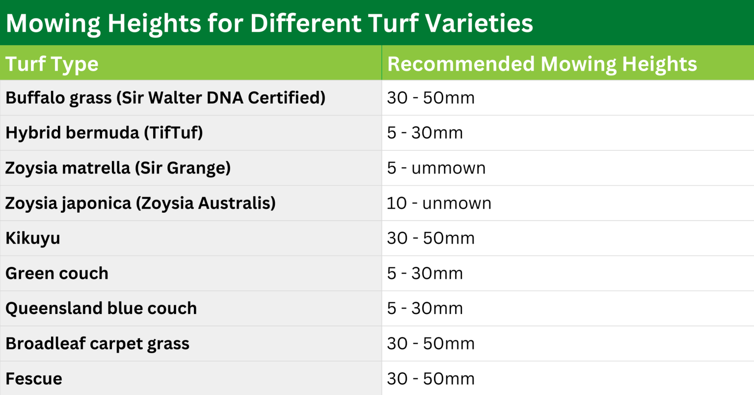 What You Need to Know About Mowing - Lawn Solutions Australia