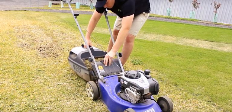 How to Dethatch Your Lawn - Lawn Solutions Australia