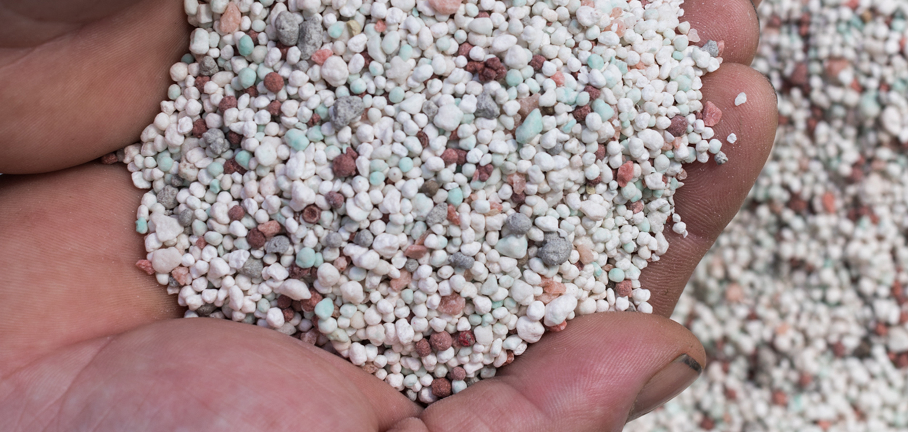 What is the Best Lawn Fertiliser?
