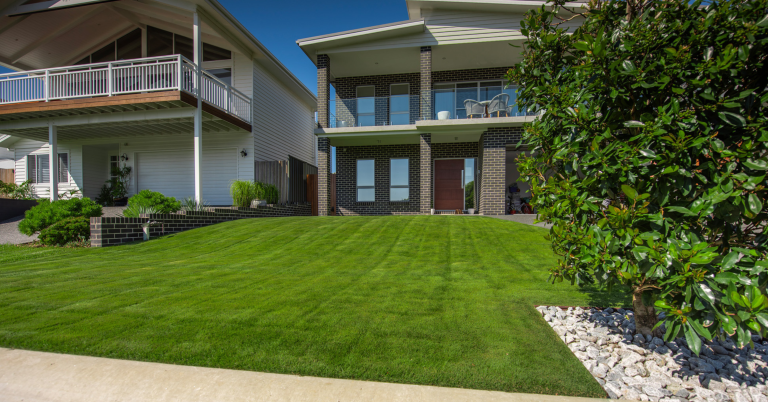 Grasses That Can Handle the Heat - Lawn Solutions Australia