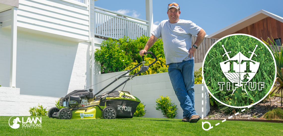 TifTuf Hybrid Bermuda - Lawn Solutions Australia