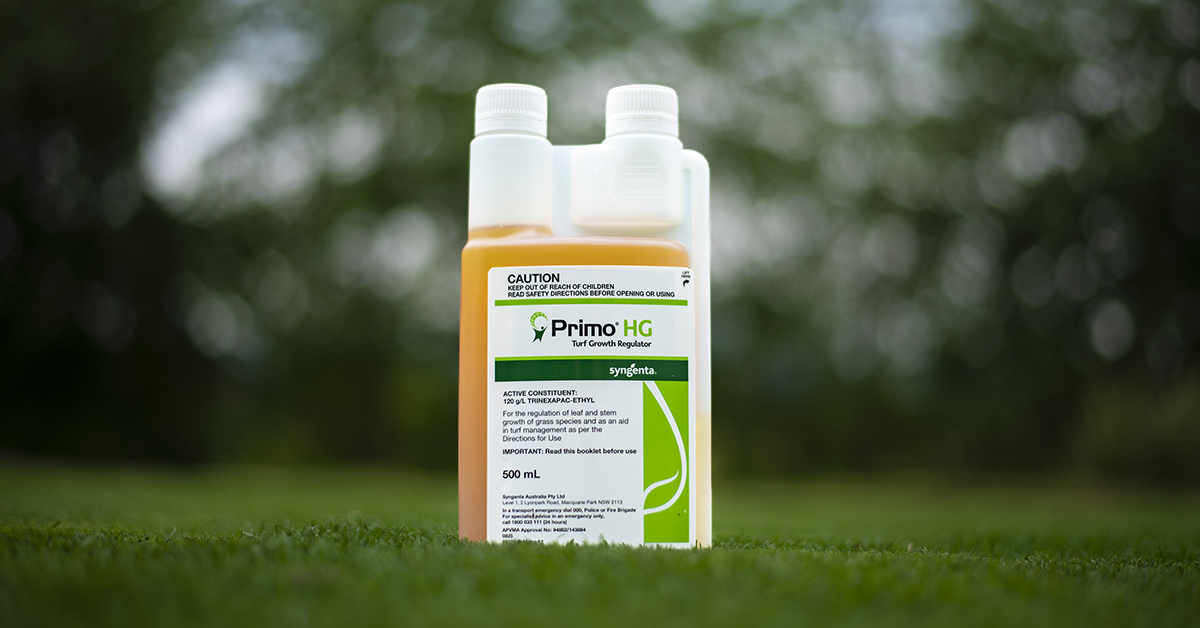 Is It Too Early to Apply A PGR? - Lawn Solutions Australia