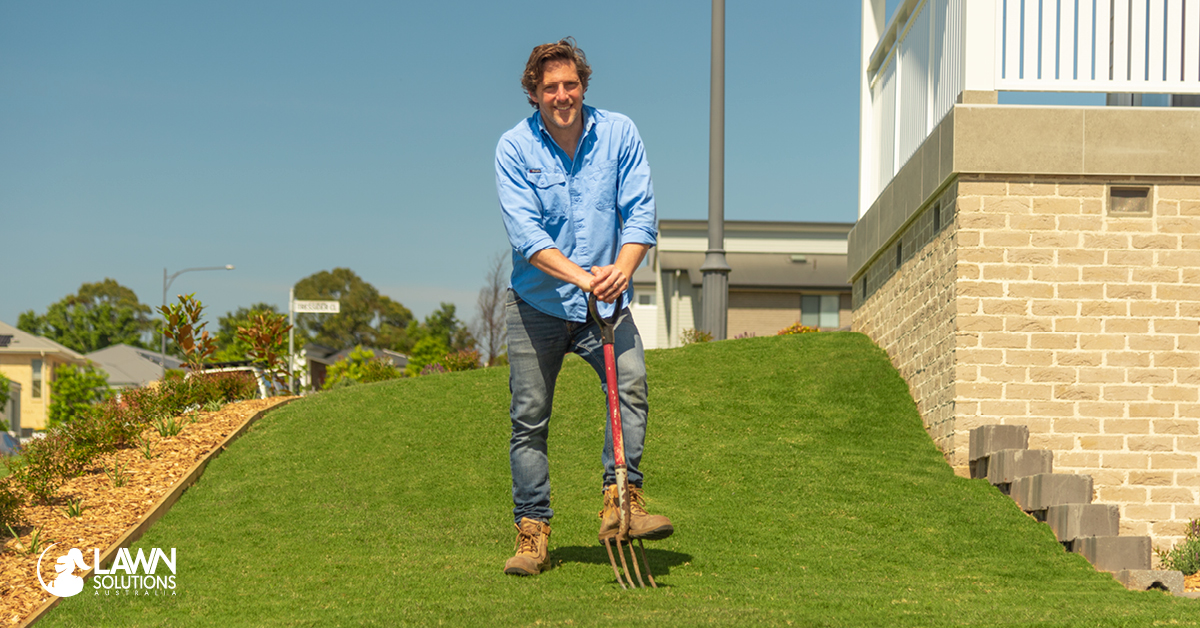 Lawn Care Jobs when Preparing for a Wet Summer - Lawn Solutions Australia