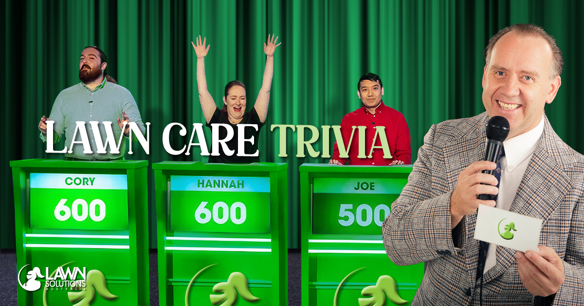Lawn Care Trivia - Lawn Solutions Australia