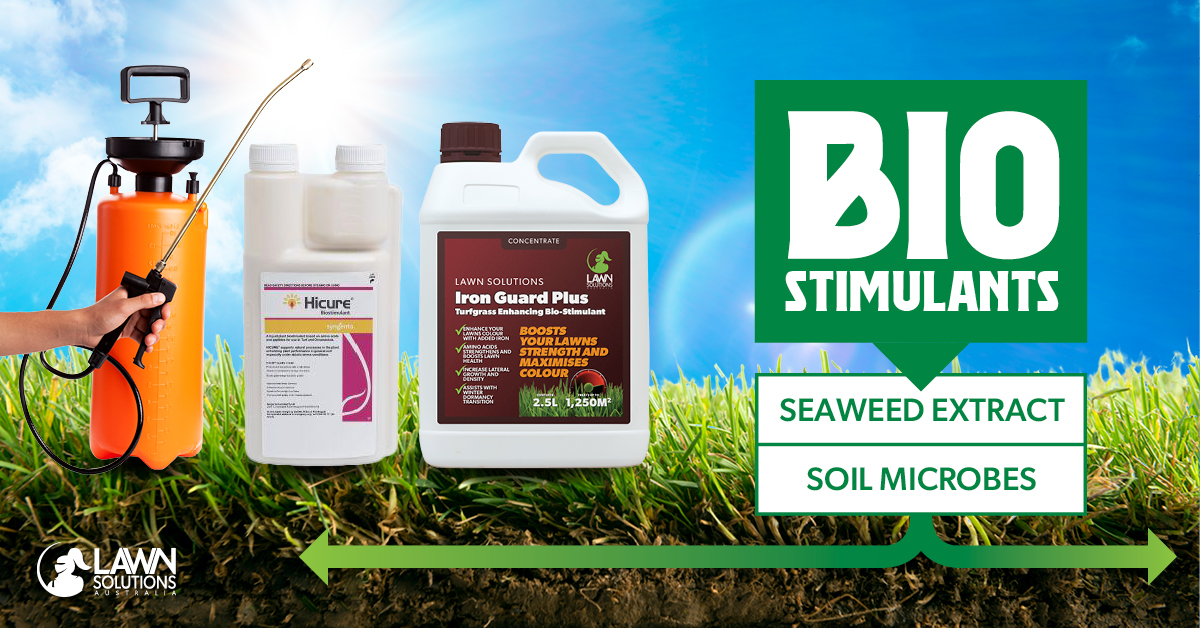 Biostimulants Explained | Healthier Lawns with Iron Guard Plus & Hicure ...