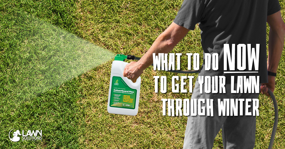 Winter Lawn Care Best Practice - Lawn Solutions Australia