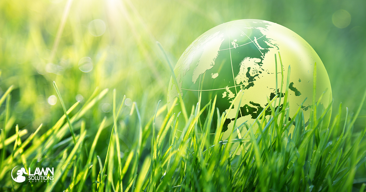 The Wide World of Turf - Lawn Solutions Australia