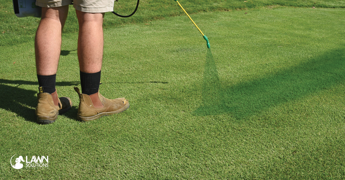 A Pro's Guide to Turf Pigmentation | ColourGuard Plus - Lawn Solutions ...