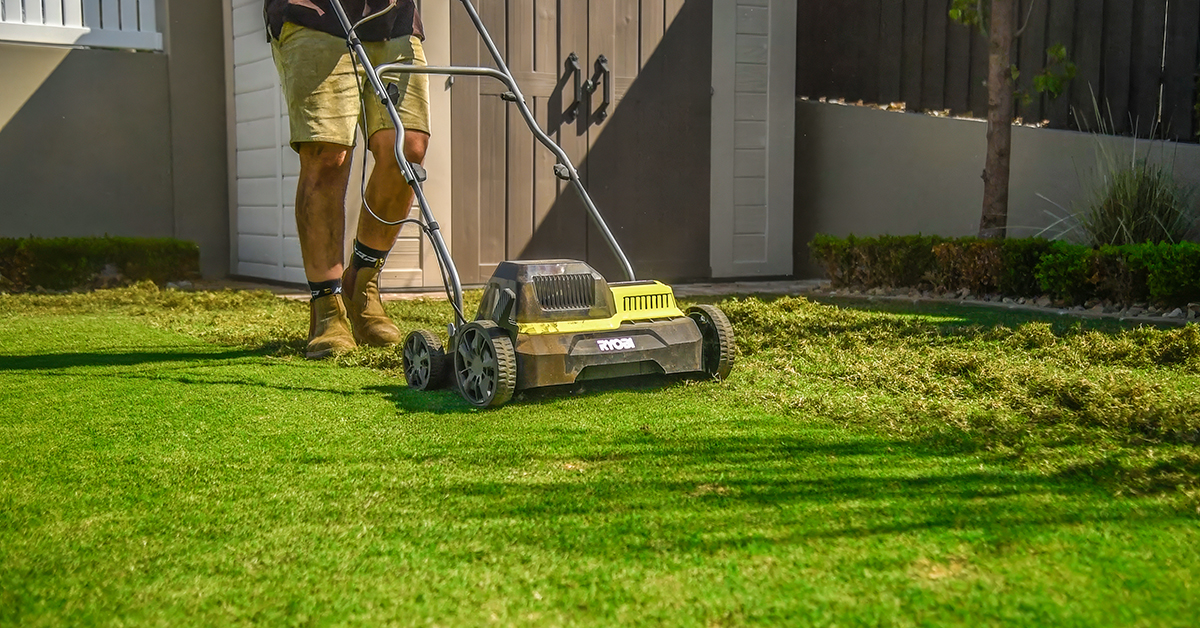 How to Dethatch Your Lawn - Lawn Solutions Australia
