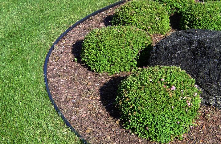 5 edging materials for your lawn - Lawn Solutions Australia
