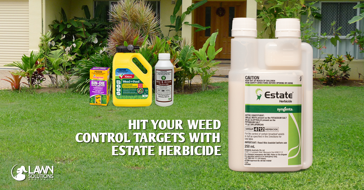 Looking for A Replacement for Bin Die Herbicide? - Lawn Solutions Australia