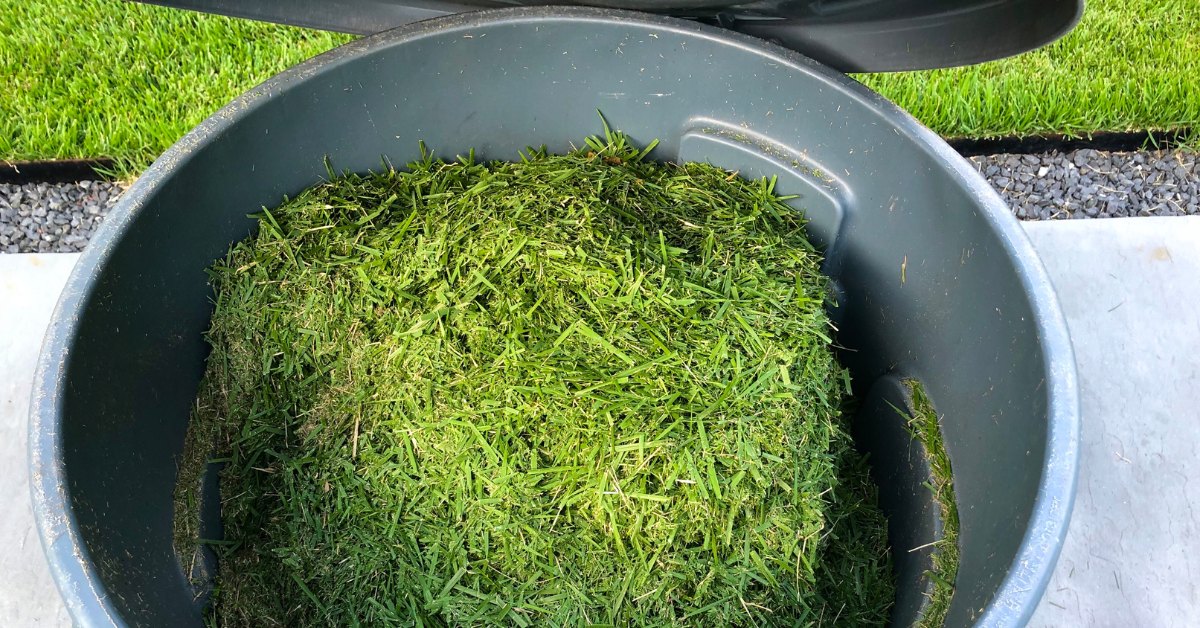 5 Ways to Use Your Grass Clippings - Lawn Solutions Australia