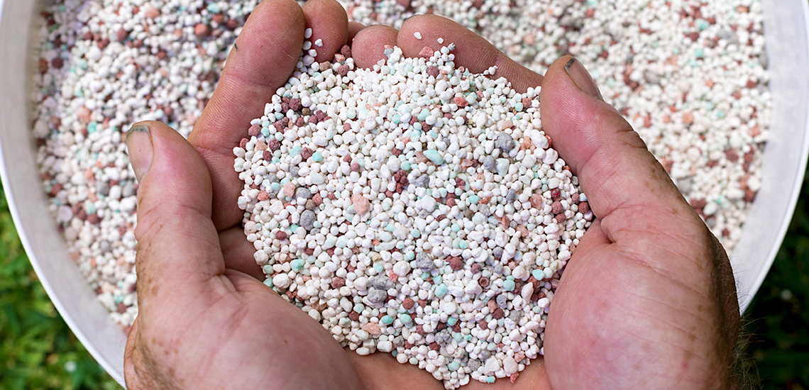 The right way to fertilise your lawn - Lawn Solutions Australia