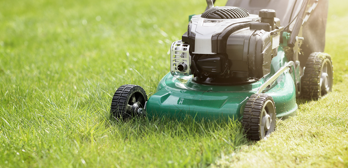 How to repair a thin and patchy lawn - Lawn Solutions Australia