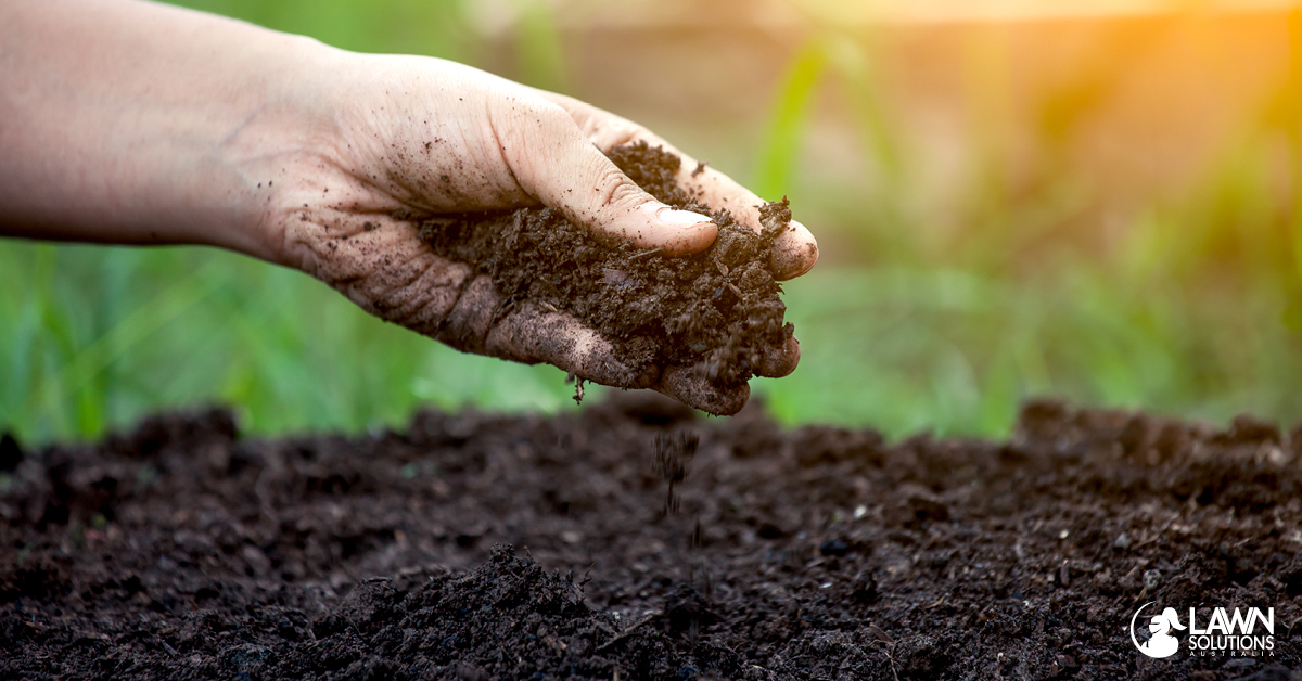 Preparing your soil for new turf - Lawn Solutions Australia