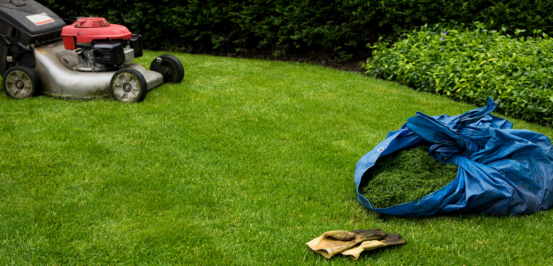 12 Mowing Tips For The Perfect Cut Every Time | All Turf Solutions