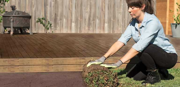 Goodbye Old Lawn: The Step-by-Step Soil Prep Guide - Lawn Solutions ...