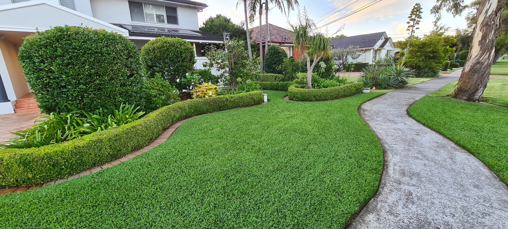 The Great Australian Lawn Off! - Lawn Solutions Australia
