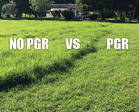 Going on a Summer Holiday? PGR - BYL - Lawn Solutions Australia