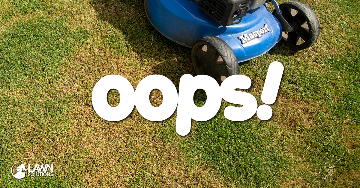 How to Stop Scalping While Mowing - Lawn Solutions Australia