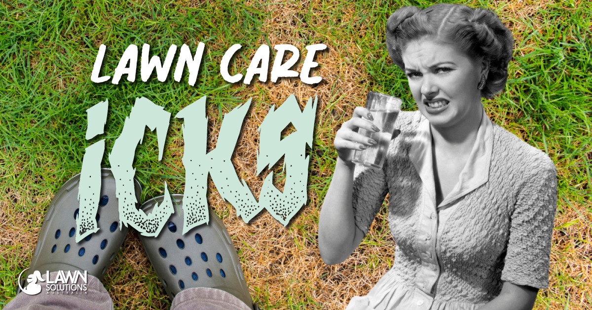 Our Top 5 Lawn Care Icks - Lawn Solutions Australia