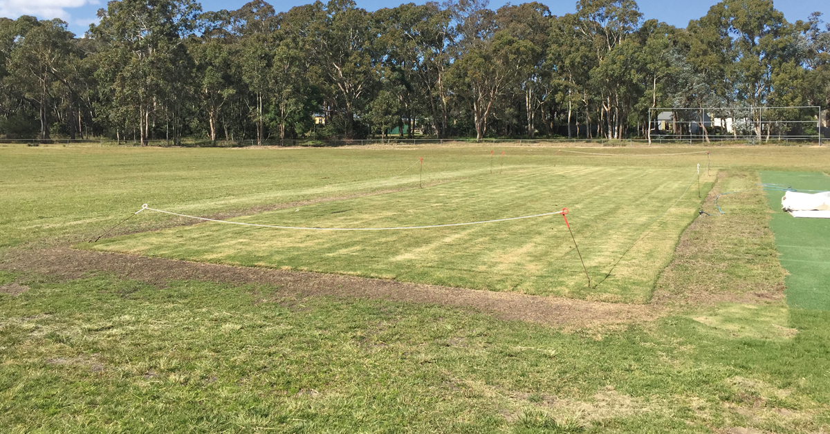 Turf Community Unite - Lawn Solutions Australia