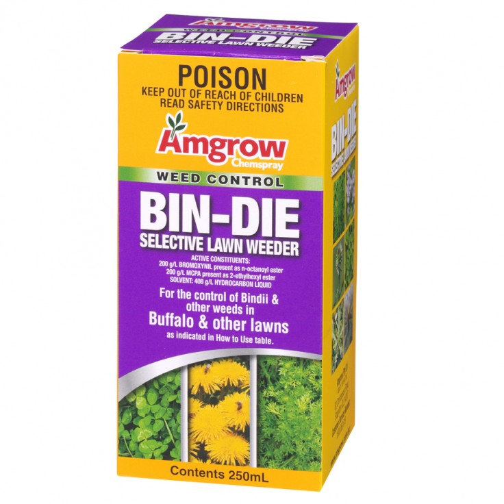 How to Remove Bindii from Your Lawn - Lawn Solutions Australia