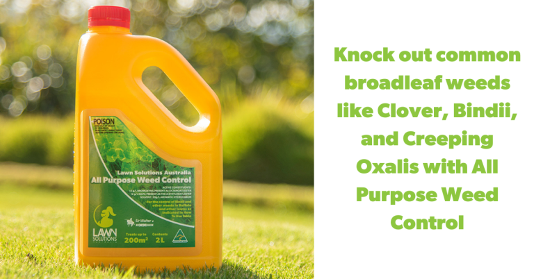 Treating Common Broadleaf Weeds - Lawn Solutions Australia