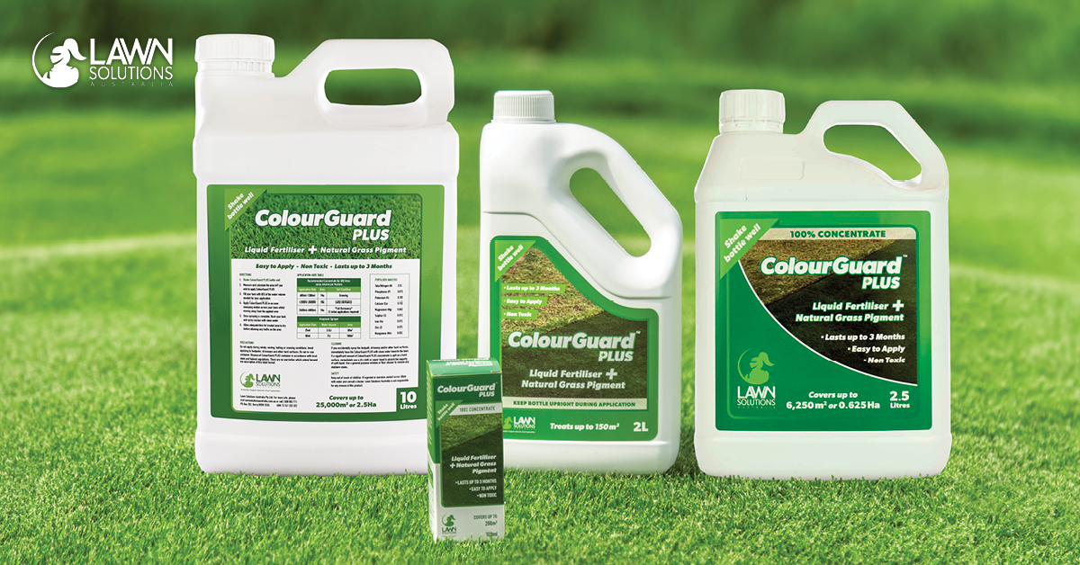 How to keep your grass green - Lawn Solutions Australia