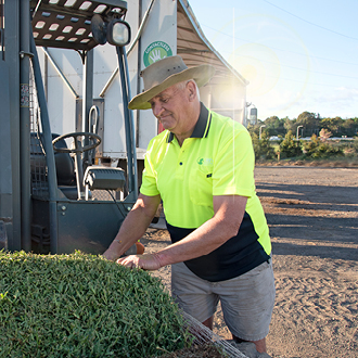 Turf Suppliers Near Me - Lawn Solutions Australia