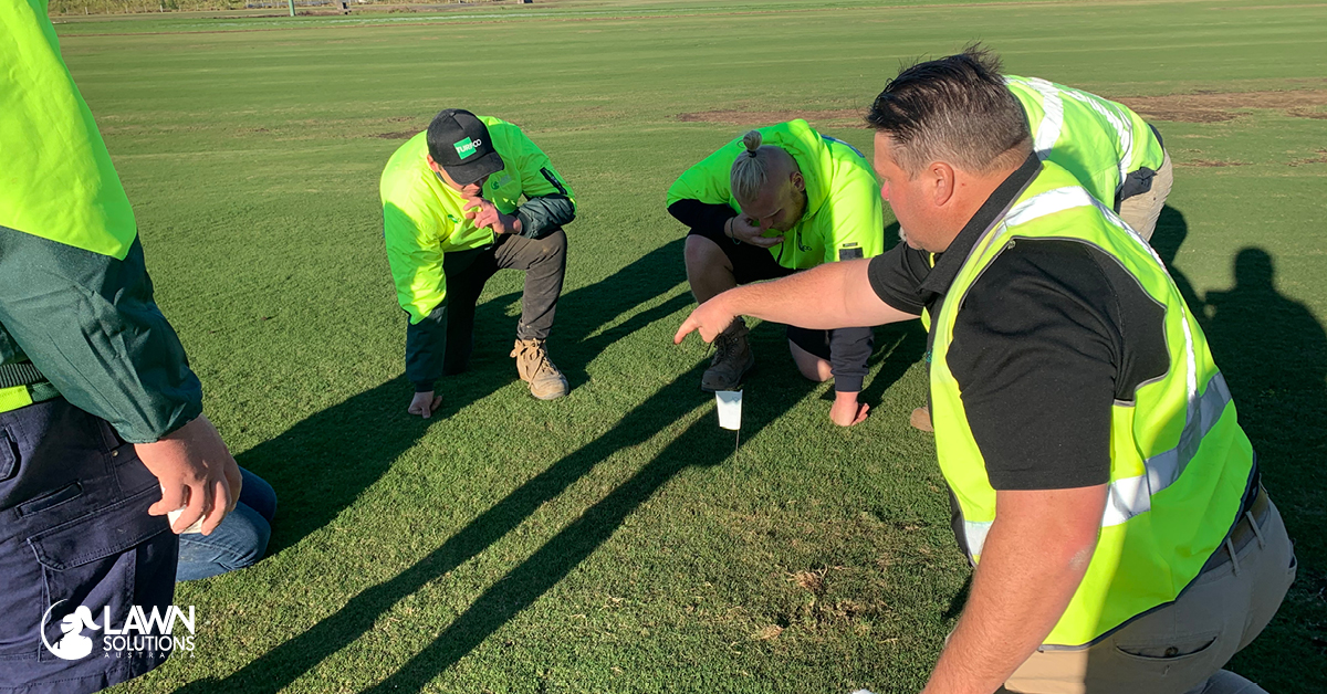 Turf Farm Inspections Ensure Quality Turf - Lawn Solutions Australia