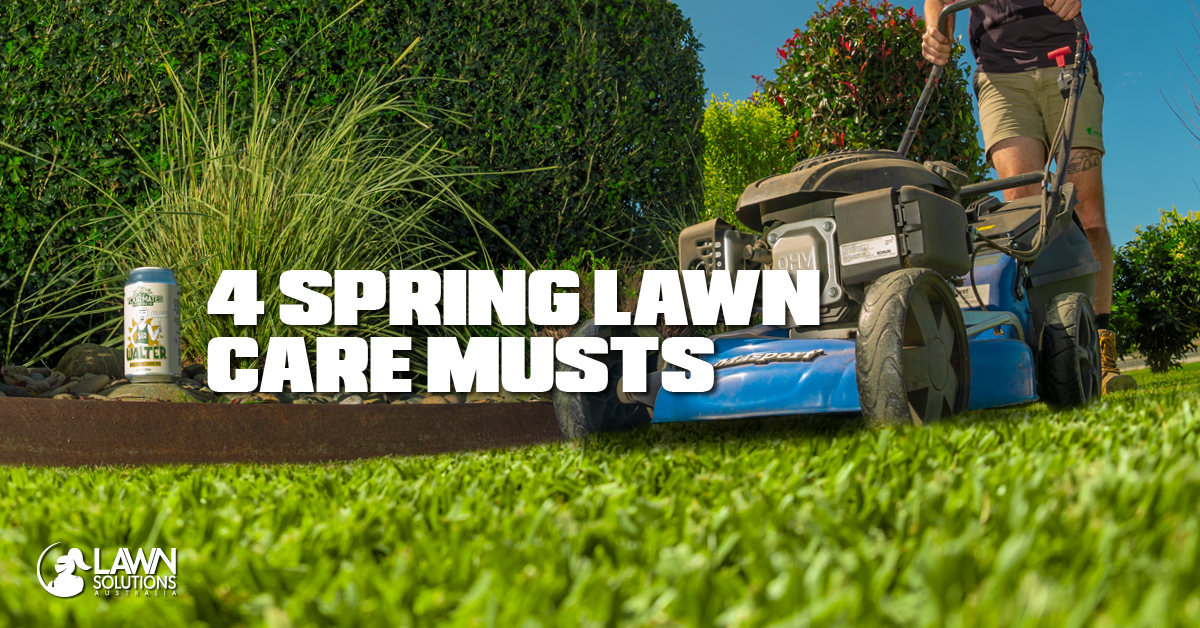 4 Spring Lawn Care Musts - Lawn Solutions Australia