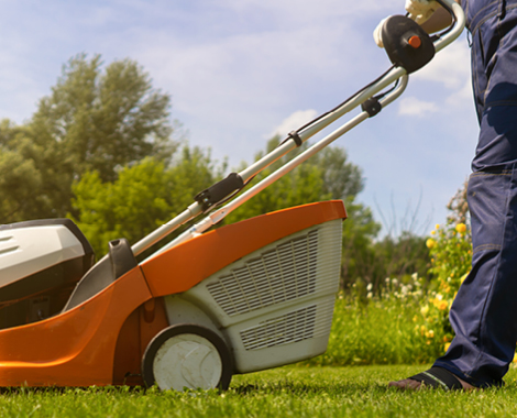 How to cut grass properly - Lawn Solutions Australia