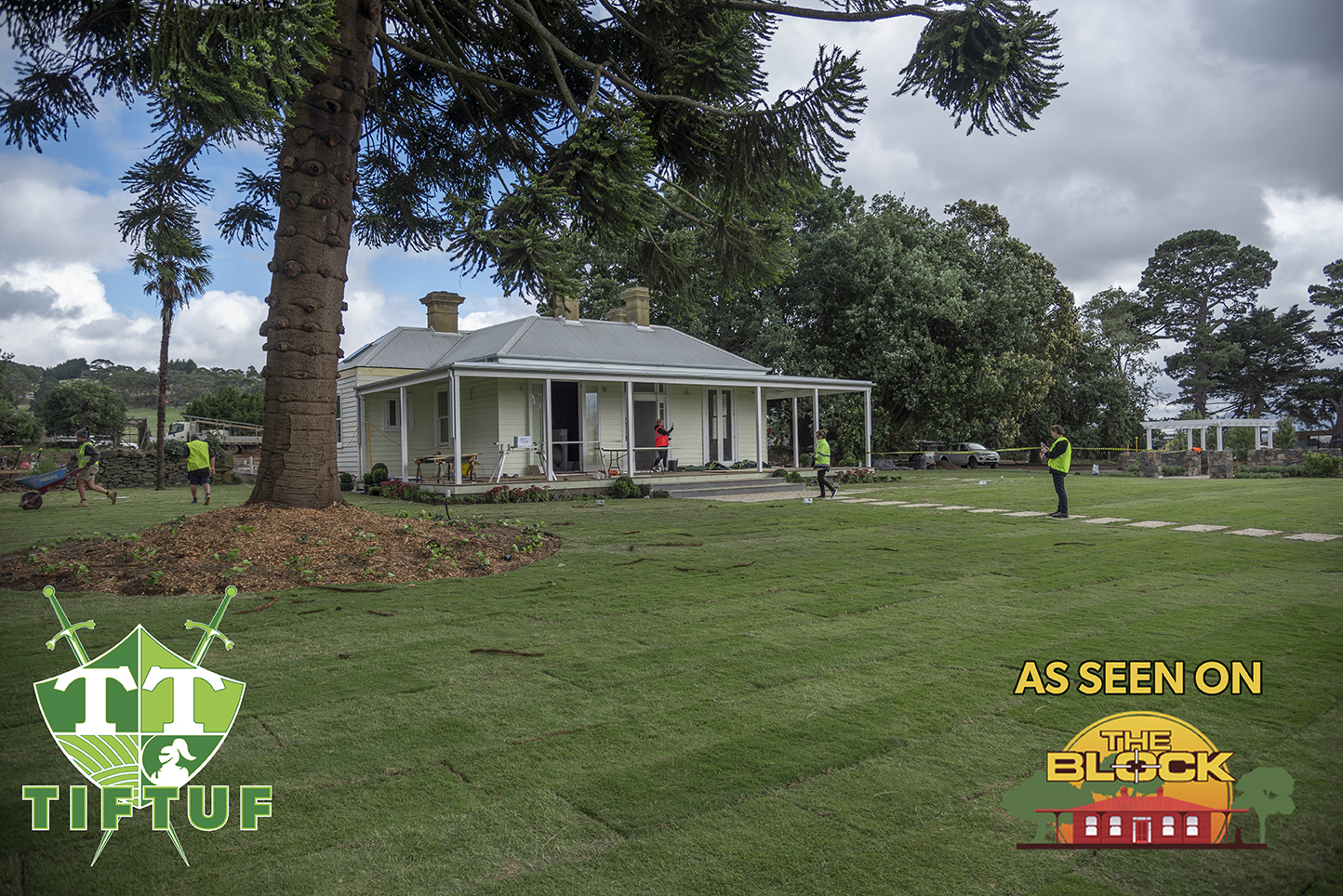 We're Turfing The Block with TifTuf!