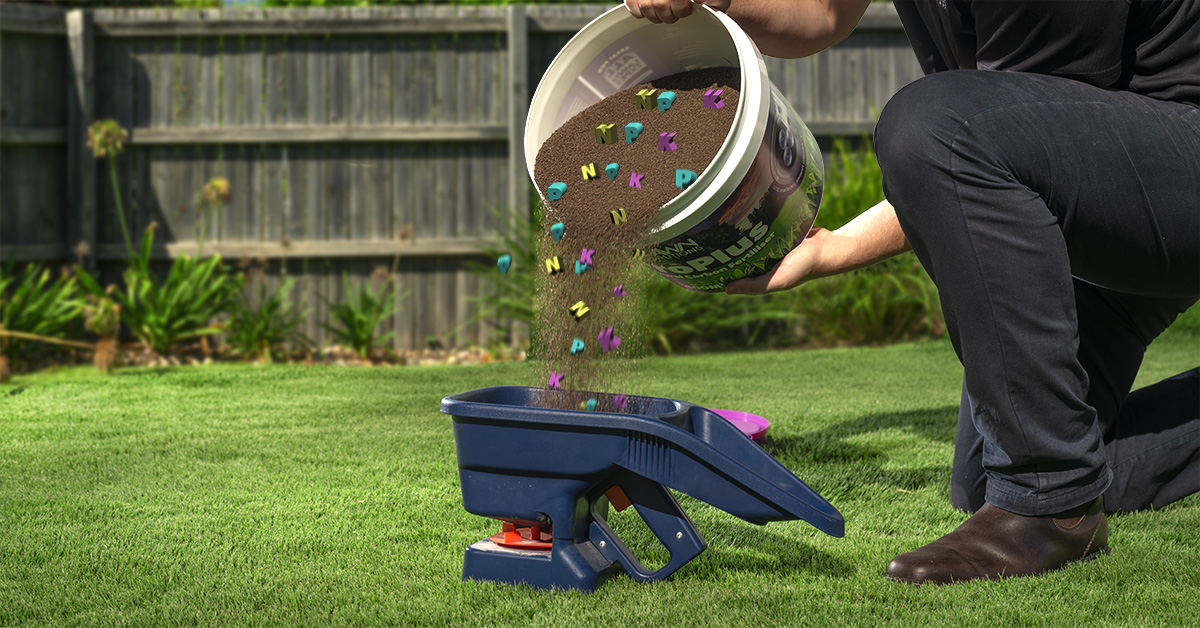 Nutrients Your Lawn Needs to Thrive - Lawn Solutions Australia