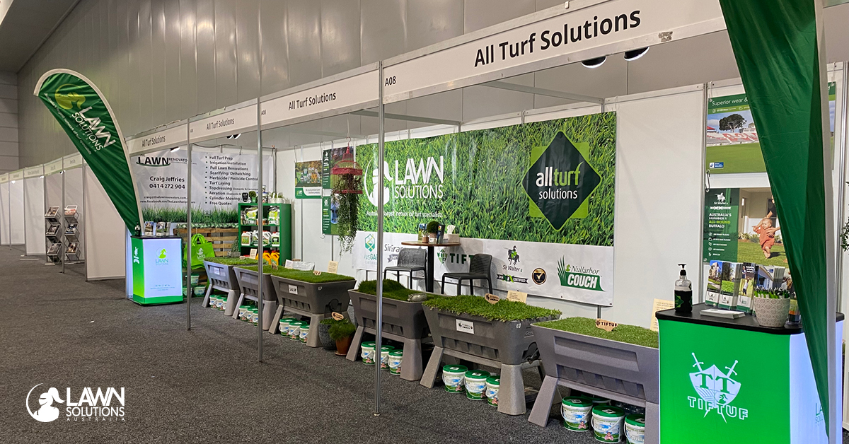 Eye Catching Turf at the Brisbane Home Show - Lawn Solutions Australia