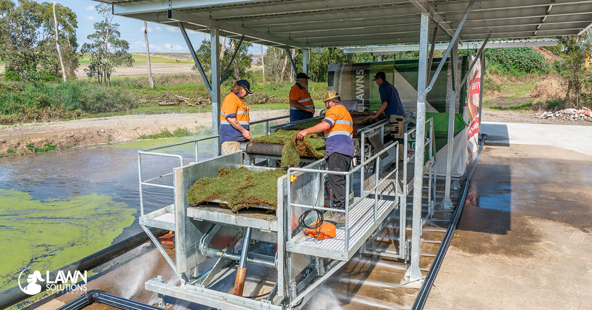 Next Level Innovation at Twin View Turf - Lawn Solutions Australia