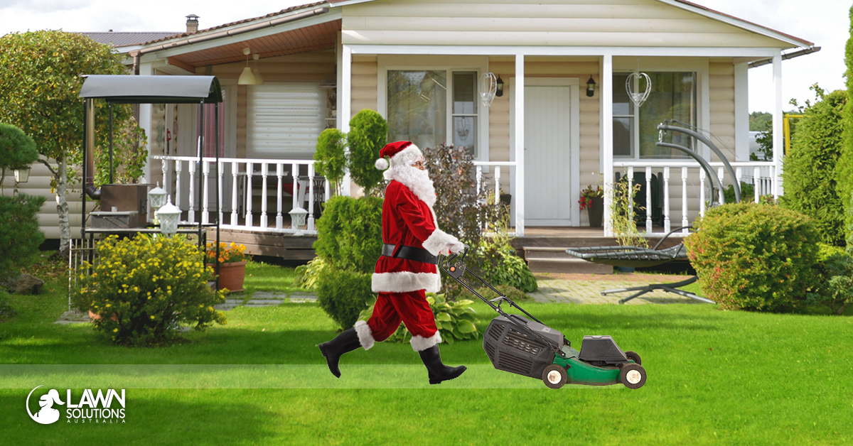 Getting your Christmas lawn ready in a hurry - Lawn Solutions Australia