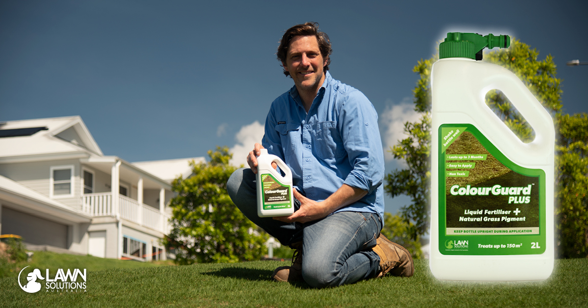 How to Keep Your Grass Green - Lawn Solutions Australia