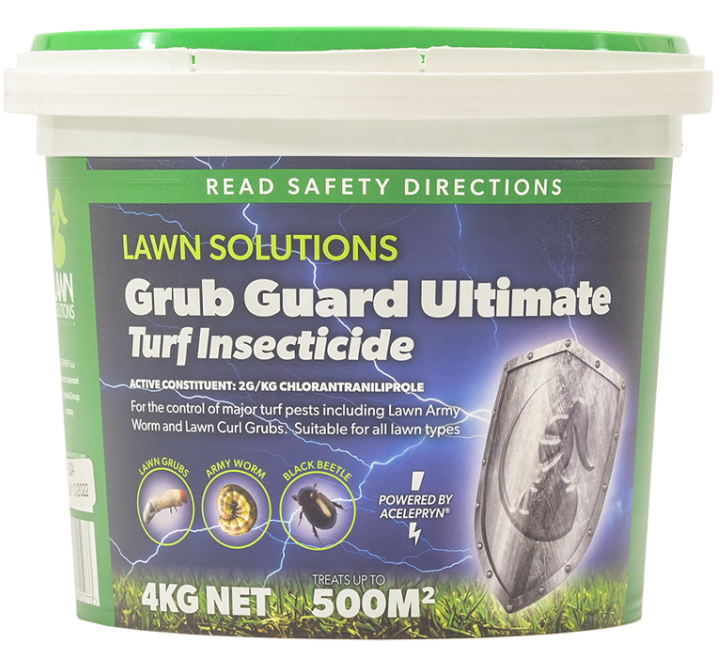 What’s Wrong with My Lawn? Common Lawn Care Problems and What They Look ...