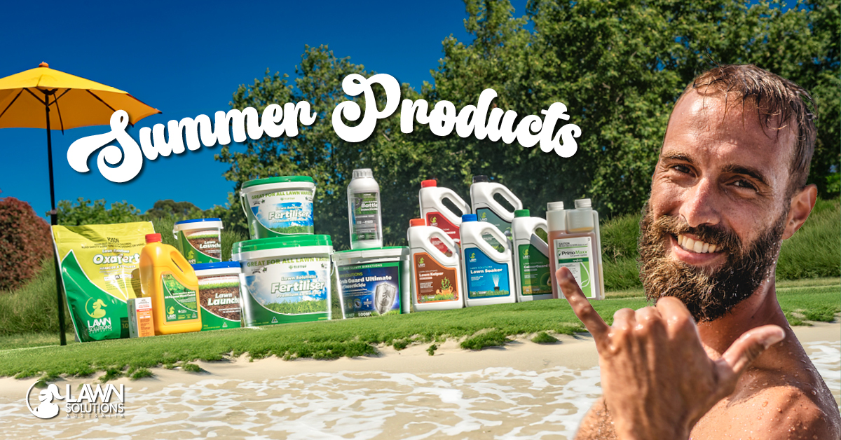 Your Essential Summer Lawn Care Products - Lawn Solutions Australia
