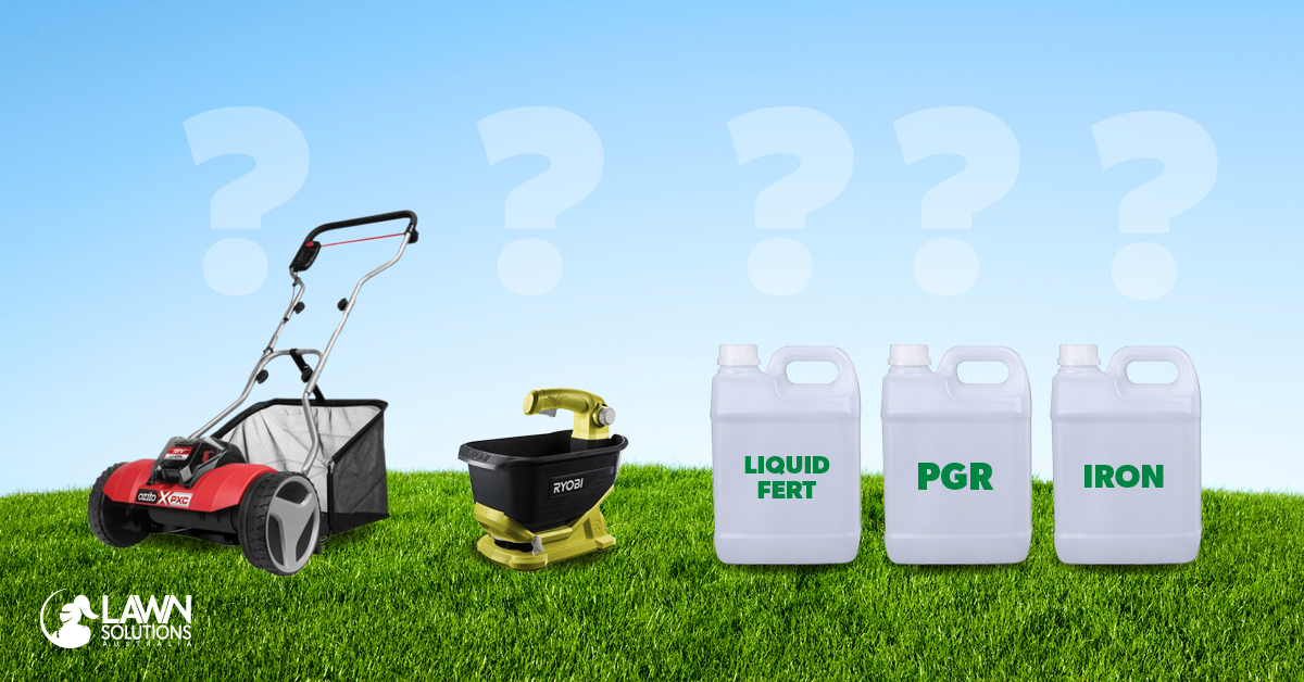 Which Lawn Trends Are Worth the Hype? - Lawn Solutions Australia