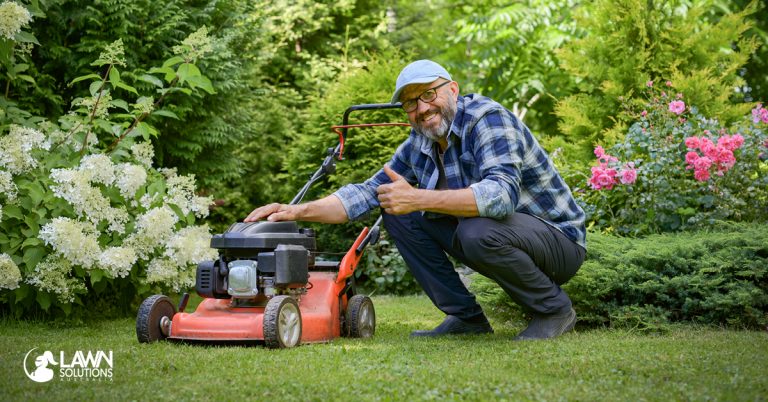 How Early Is Too Early to Mow in The Morning? - Lawn Solutions Australia