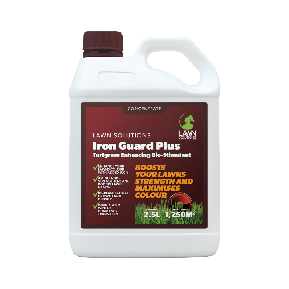 What Does Iron Do for Lawns? - Lawn Solutions Australia