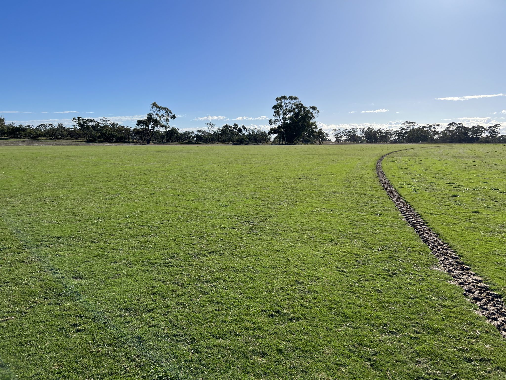 New Premium Turf Supplier in South Australia - Lawn Solutions Australia