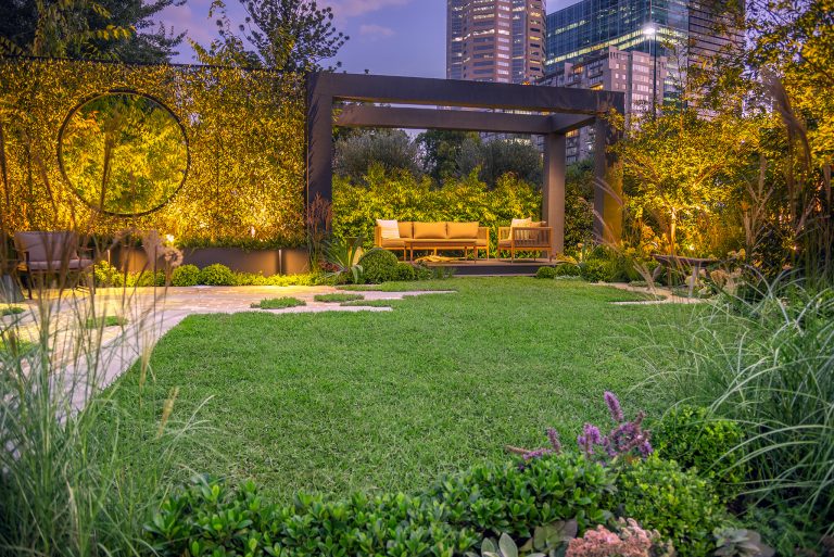 Zoysia Grass In Focus Lawn Solutions Australia 5872