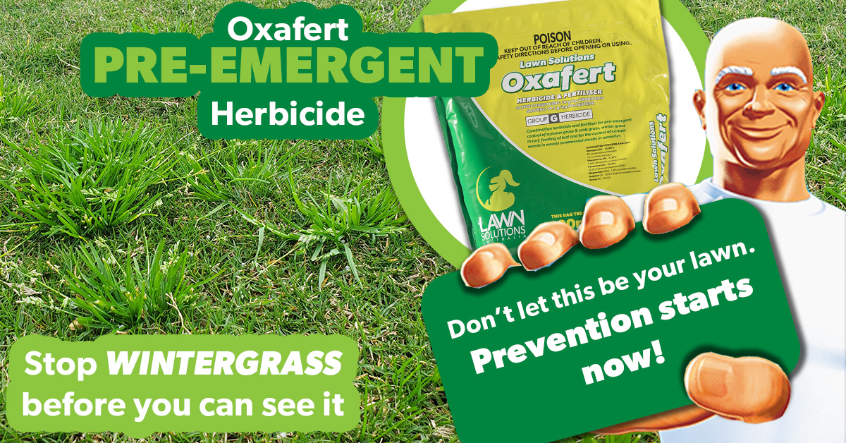 When Should I Apply a Pre-Emergent Herbicide? - Lawn Solutions Australia