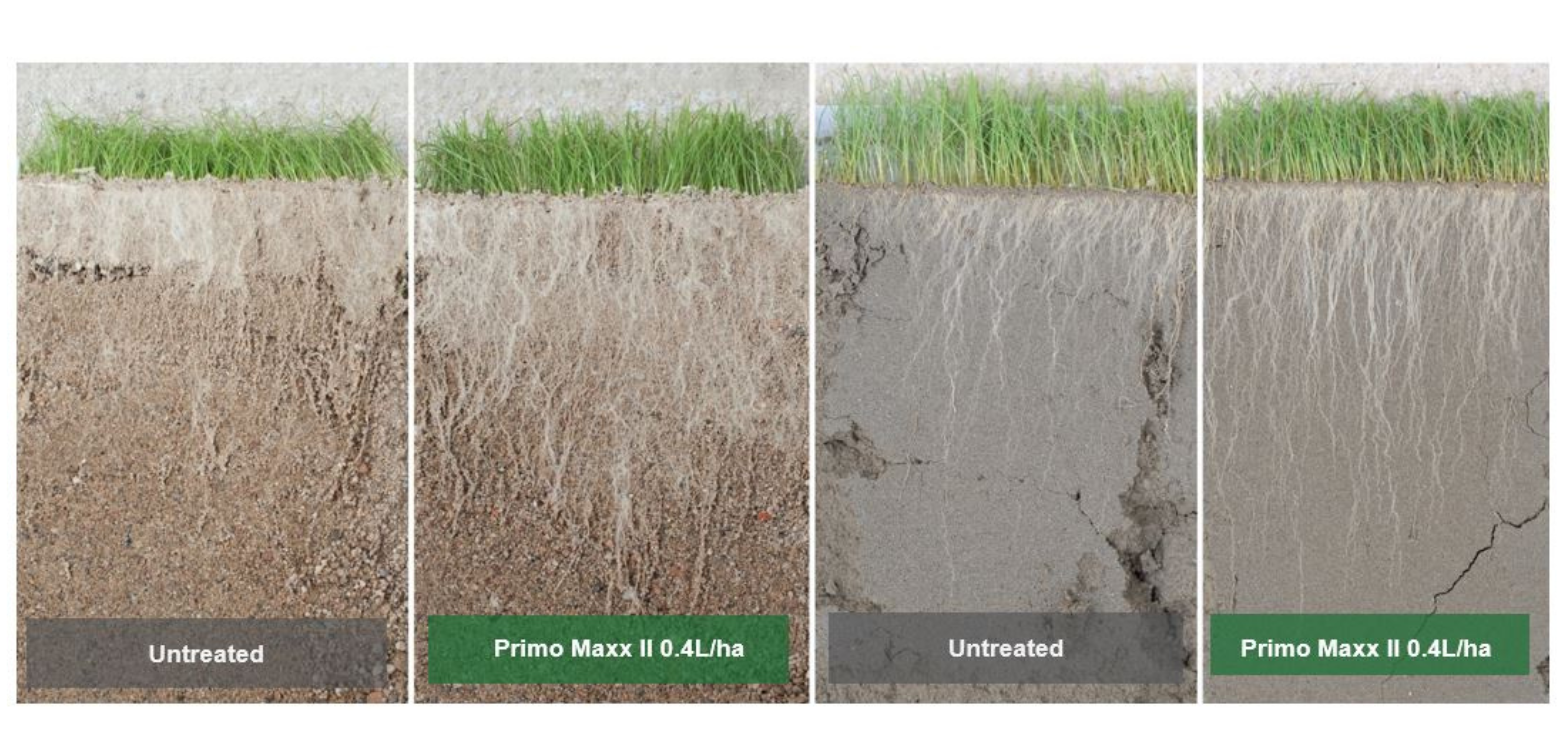 Plant Growth Regulators: The Turf Industry’s Greatest Achievement ...