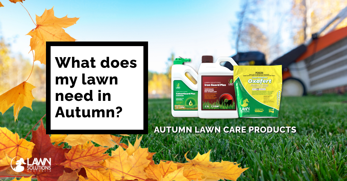 Autumn Lawn Care Products - Lawn Solutions Australia