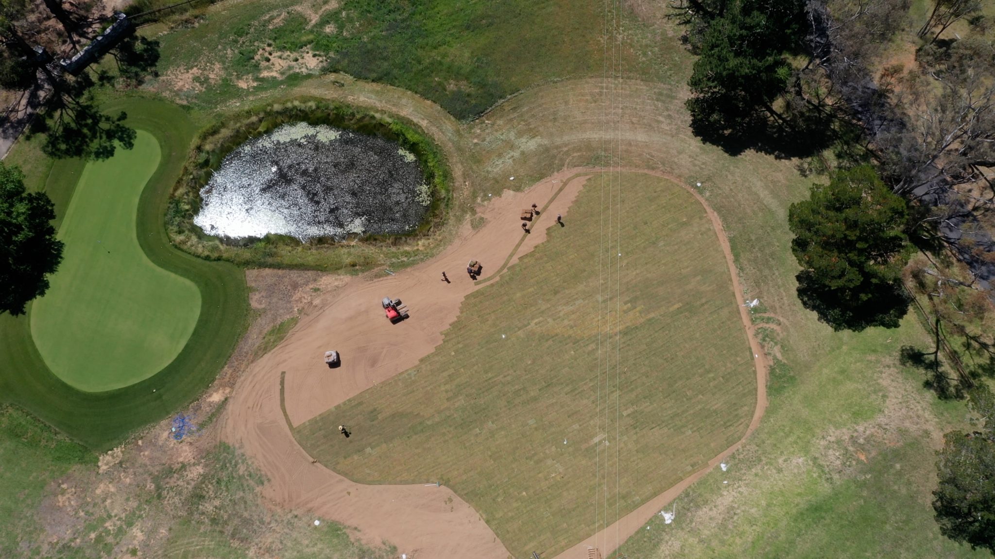 Building My Dream Par 3 Golf Hole: The Journey So Far - Lawn Solutions ...
